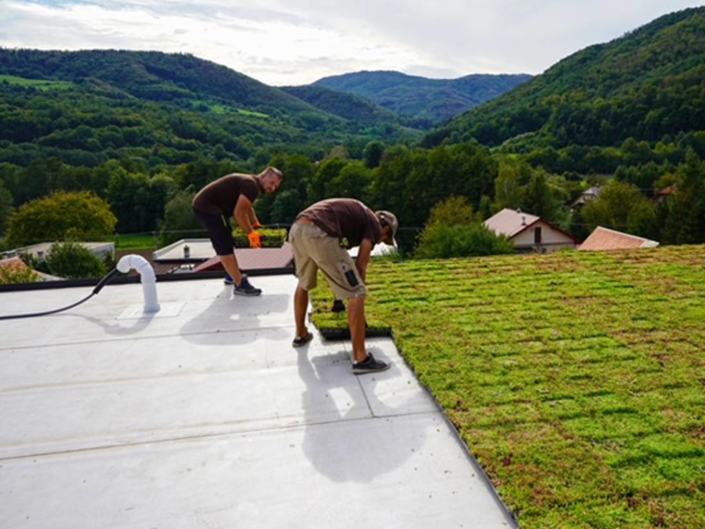GRÜNE DÄCHER - DACHTEPPICHE